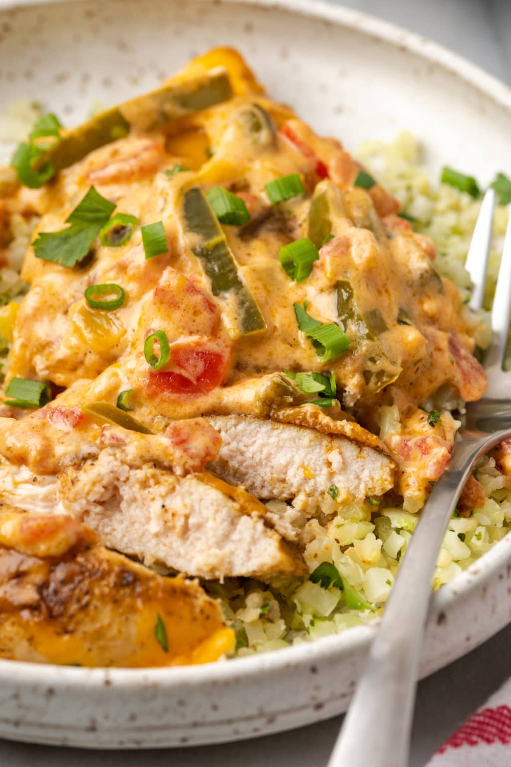 Easy Santa Fe Chicken | The Best Keto Recipes